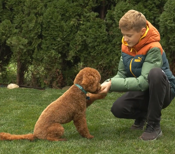 Adam Novak in njegov psiček Rocki - 4 Tačke - TV oddaja